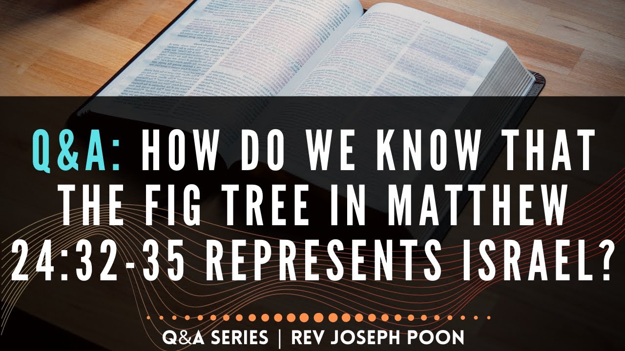 How Do We Know That The Fig Tree In Matthew 24:32-35 Represents Israel ...