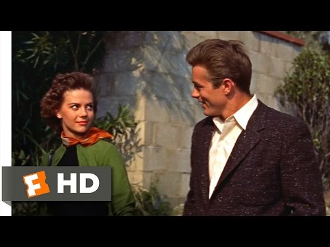 Rebel Without a Cause (1955) - I Go With the Kids Scene (4/10) | Movieclips