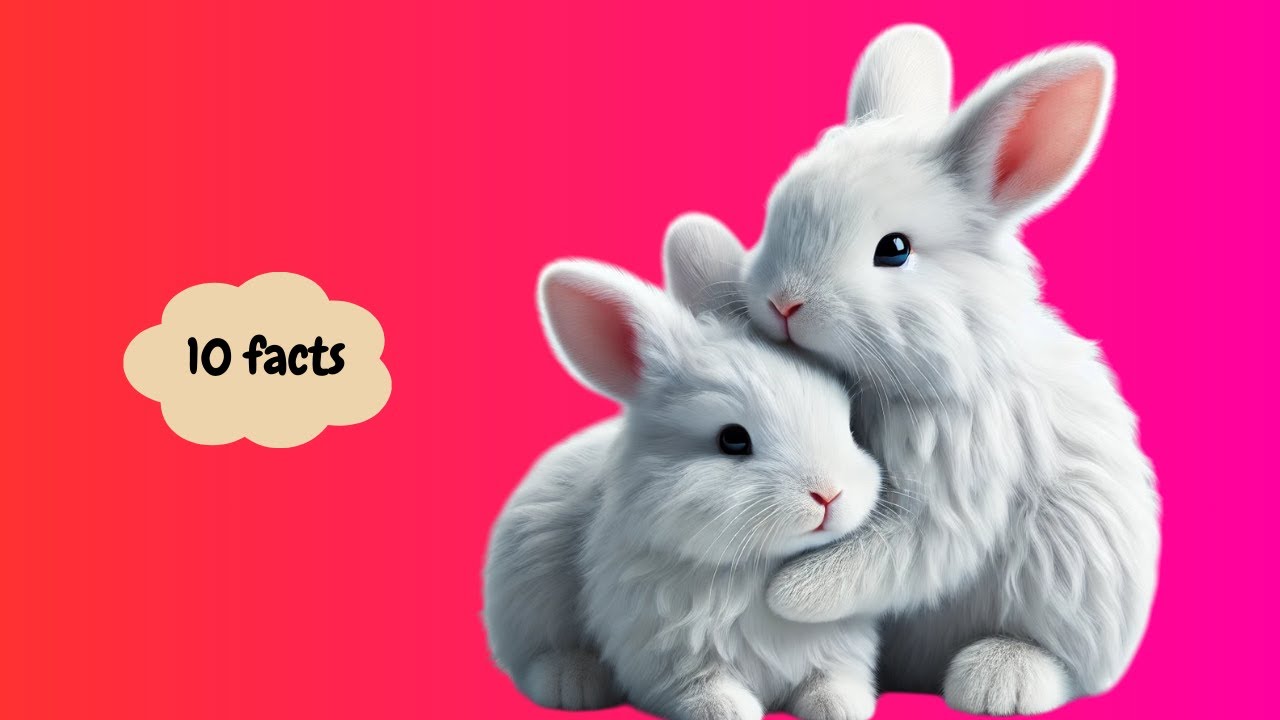 Discover the World of Rabbits | Fun Facts and Adventures for Kids ...