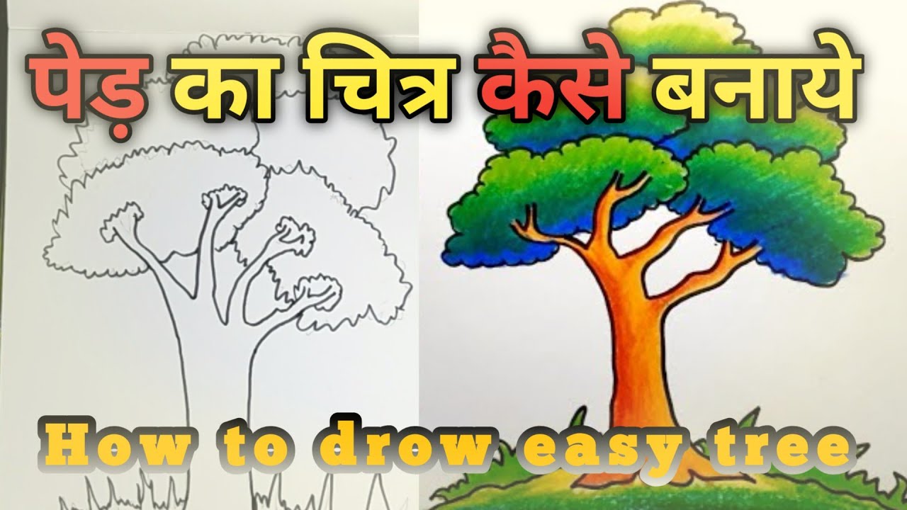 पेड़ Ka चित्र कैसे बनाएं || How to drow easy tree 🎄|| Easy drawing and ...