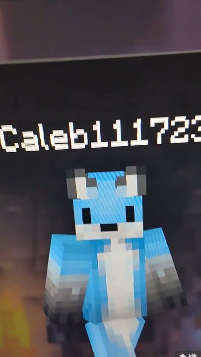 playing with a cracked player in MC java - YouTube