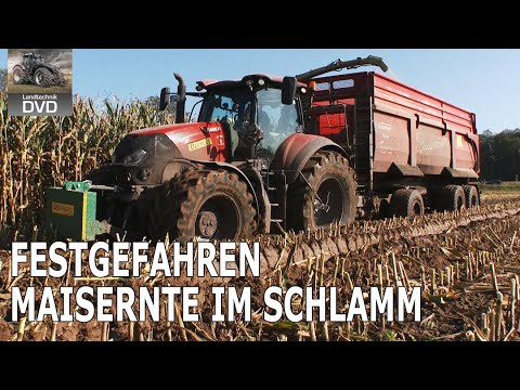 Schlammschlacht 2025 | Maisernte 2025 | Maishäckseln 2025 | Ernte 2025 | Mud Maize 2025 | Mais 2025