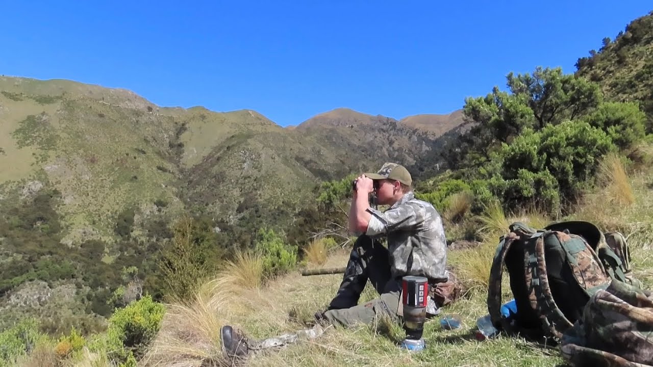 A Walk For Pork. NZ Hunting. Pig control. - YouTube