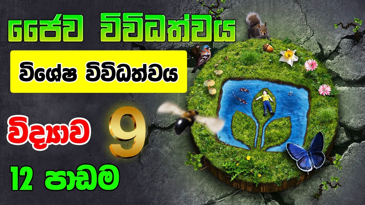 9 12 Grade 9 Science YouTube