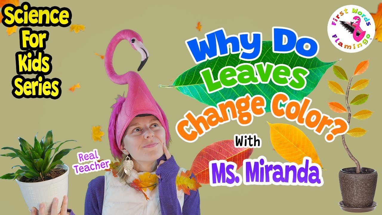 Science for Kids | Why Do Leaves Change Colors? | Ms. Miranda ...