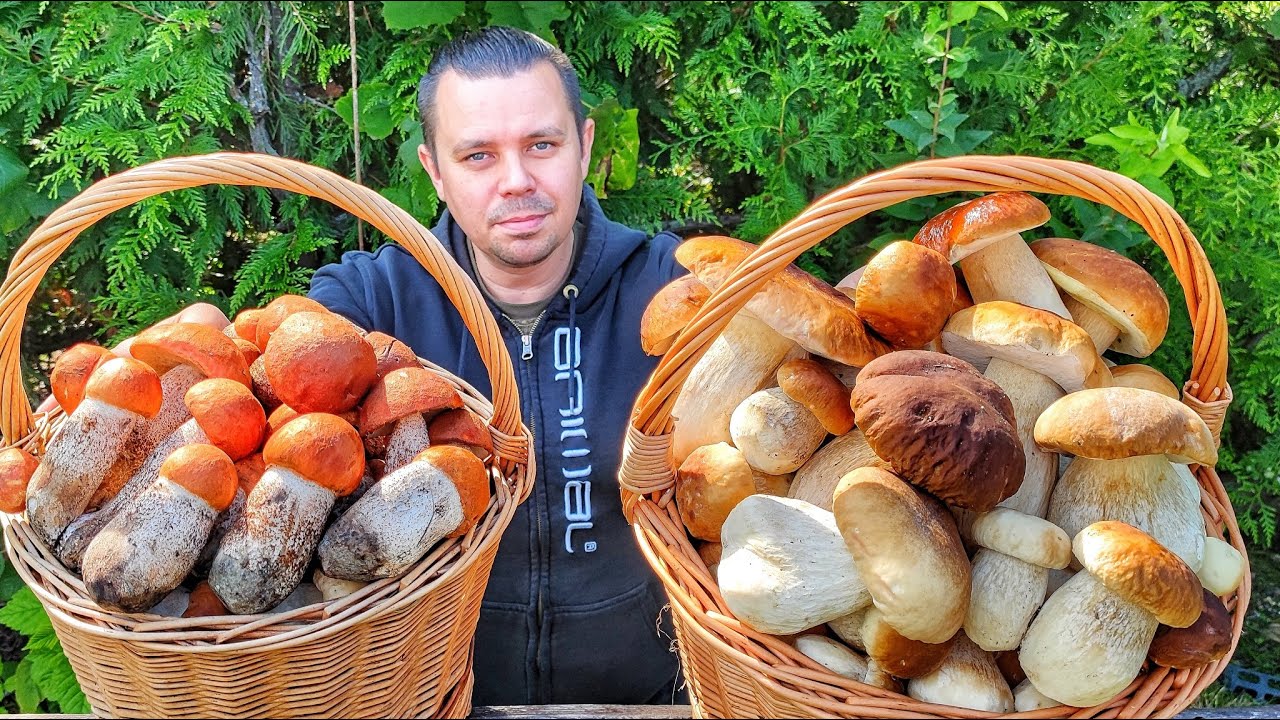 Hríby Huby Houby | 24.9.2022 | Rozprávkové | DUBÁKY KOZÁKY | hubárčenie ...