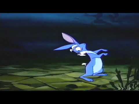 Disney Videos, Walt Disney Classics, Stay Tuned & Disney Videos