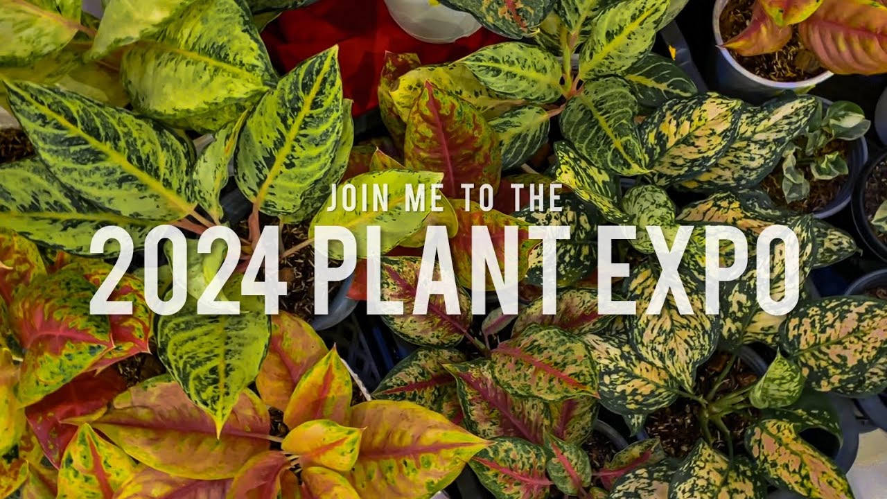 Come join me to the 2024 Plant Expo - YouTube