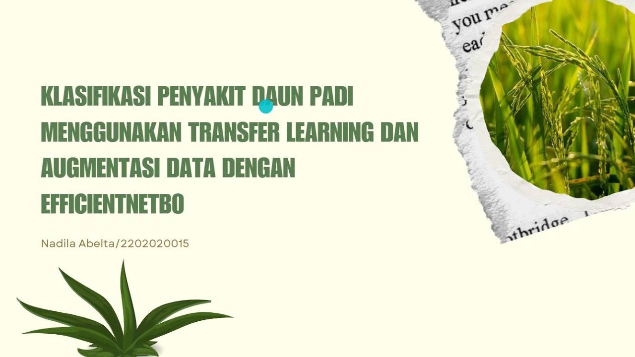 Klasifikasi Penyakit Daun Padi Menggunakan Transfer Learning dan ...