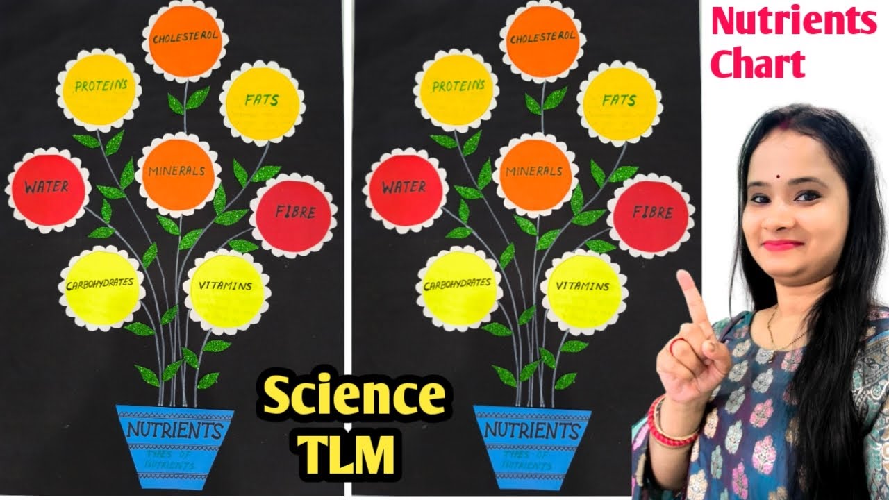Nutrients Chart | Science TLM | How To Make Nutrients Chart | Types Of ...