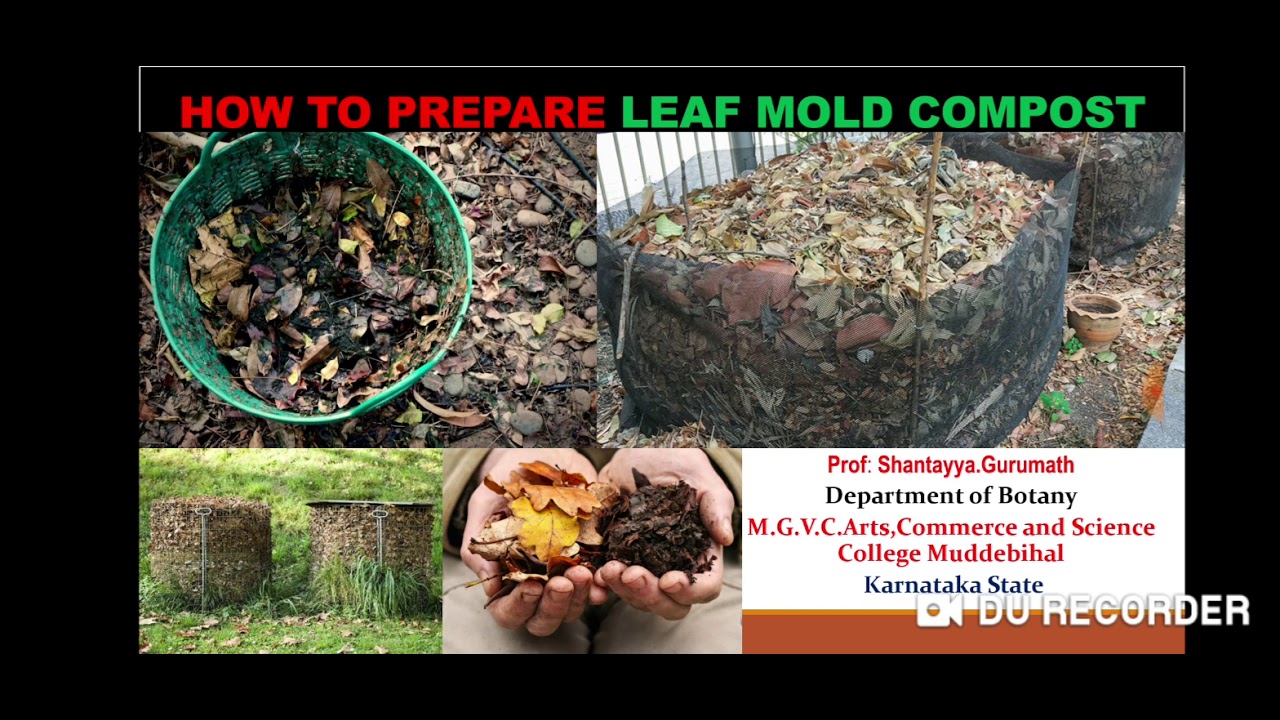 How to Prepare Leaf Mold Compost - YouTube