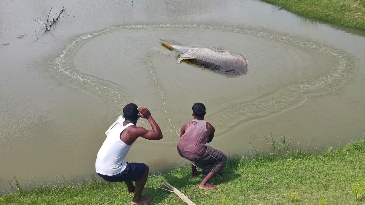Best Net Fishing Video - Traditional Catching Fish in The River - YouTube