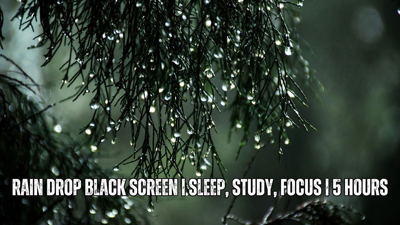 Rain drop Black Screen | Sleep, Study, Focus | 5 Hours - YouTube