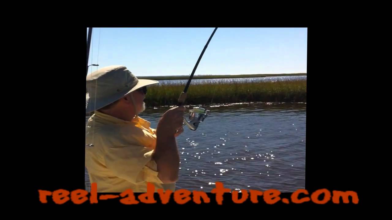 Cape Fear Red Drum Fishing with Reel Adventure Charters - YouTube
