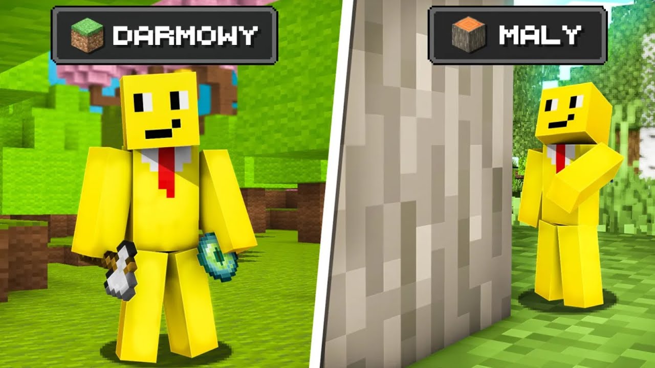 Gracz Minecraft vs 5 Najdziwniejszych Wersji Gry... - YouTube
