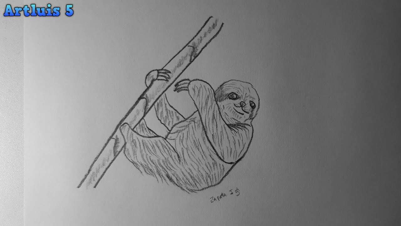 Dibujos A Lápiz De Osos Negros Dibujos A Lápiz De Masha Y El Oso