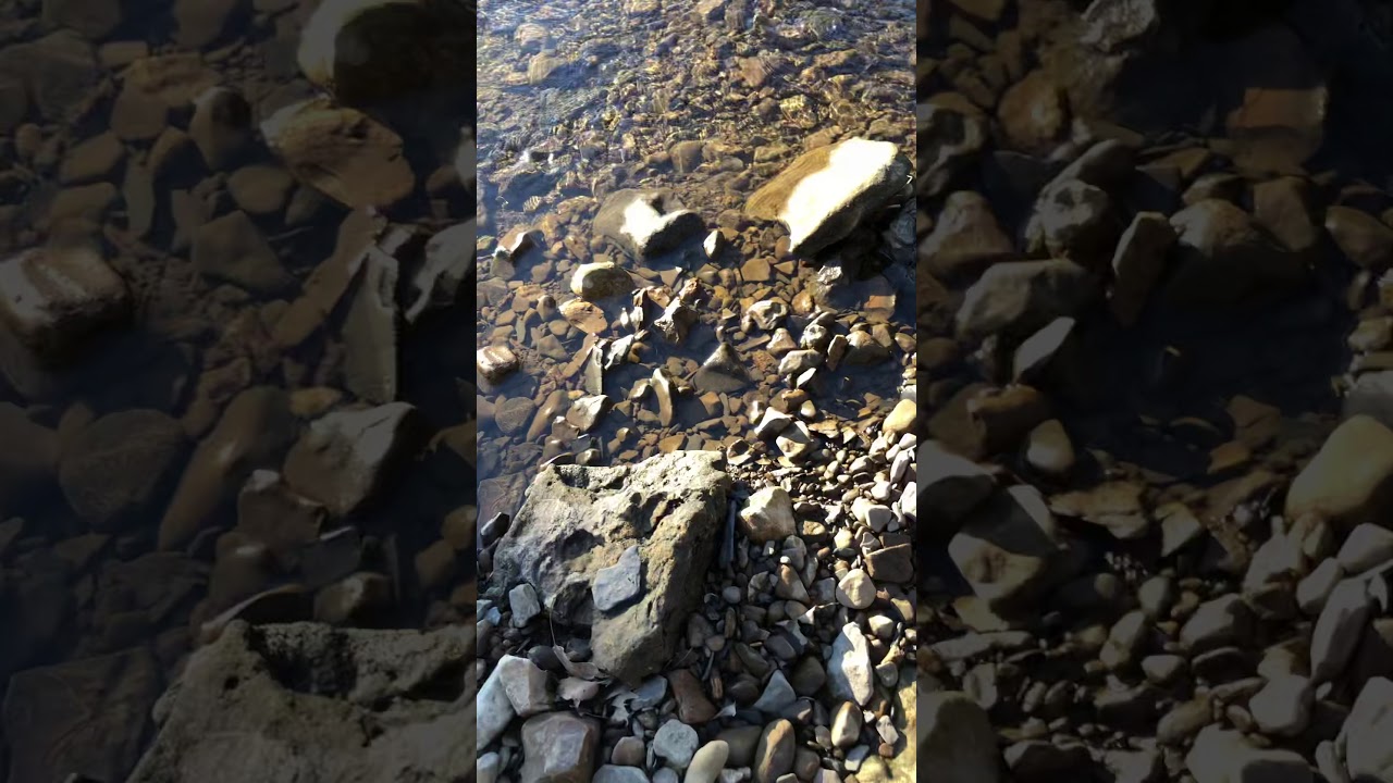 Exploring a very small cave with a surprise - YouTube