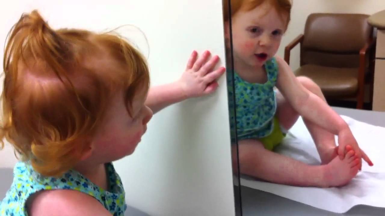 Two Year Checkup YouTube two-year-checkup-youtube