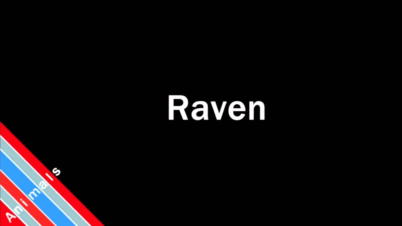 How to Pronounce Raven - YouTube