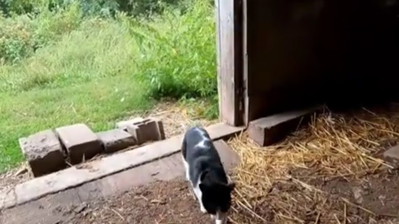 ch. 6 Merchant and the Alchemist's Gate - YouTube