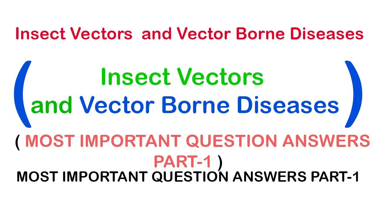 Insect Vectors and Vector Borne Diseases MOST IMPORTANT QUESTIONS ...