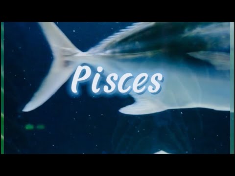 Pisces 🫧🐟🍃CHECK IN..𝒪rchid 🌺🌿Reads is live! - YouTube