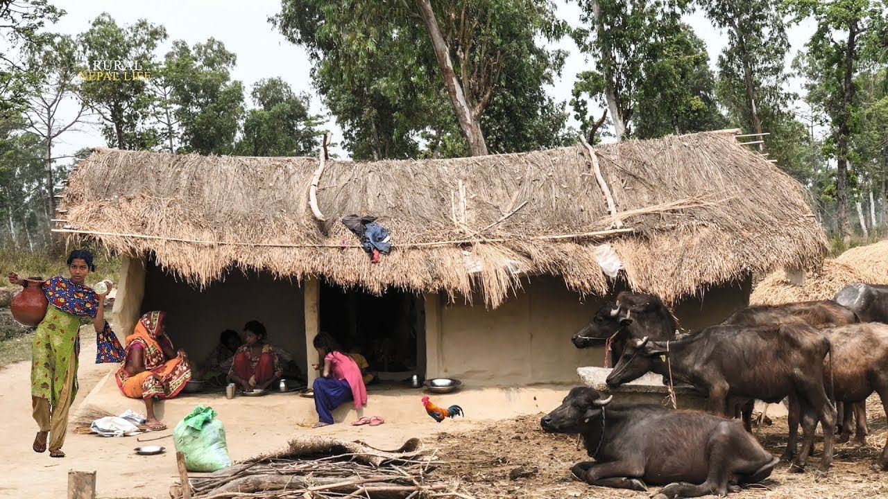 How To Live Poor People In Countryside Nepal || Countryside Daily Life ...