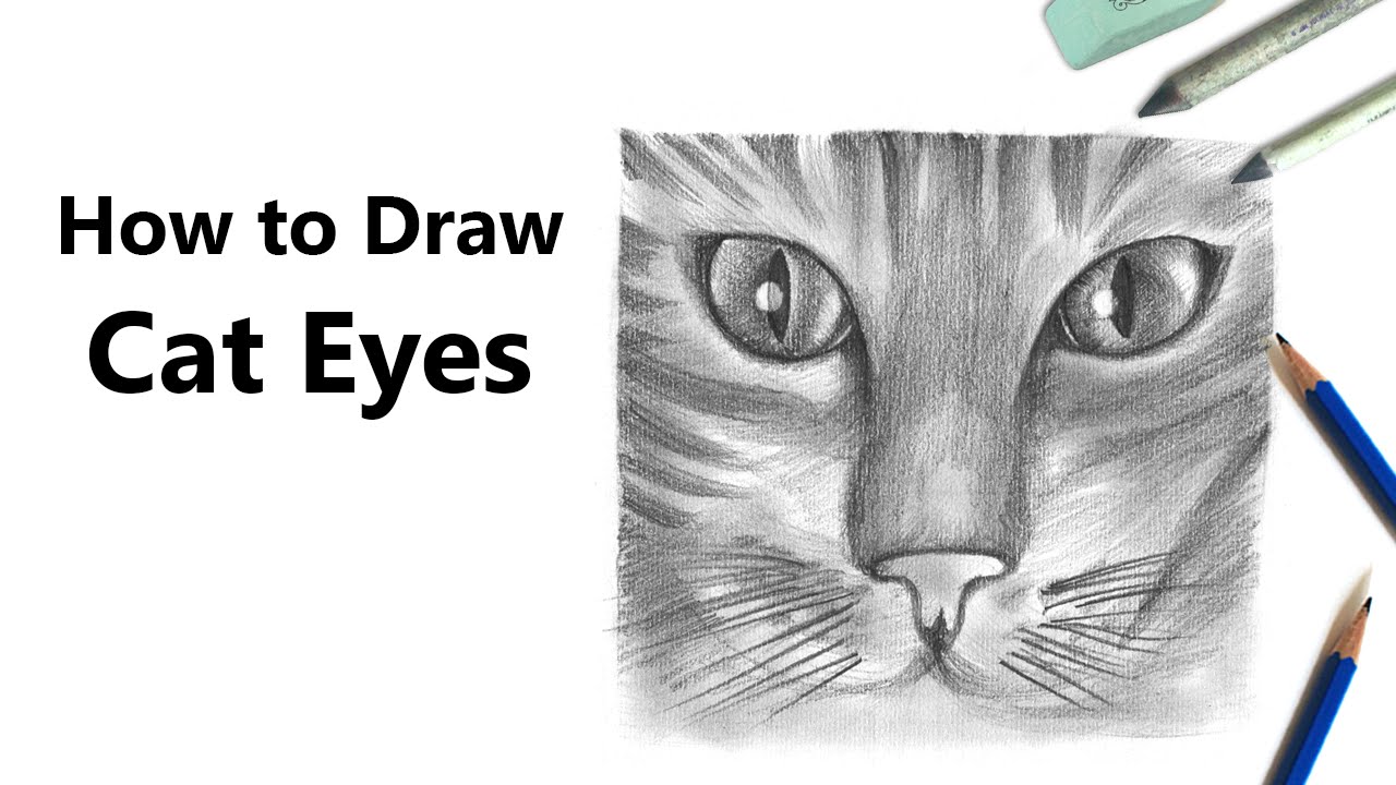 How To Draw Realistic Cat Eyes With Pencil Time Lapse YouTube How To Draw Realistic Cat Eyes With Pencil Time Lapse YouTube