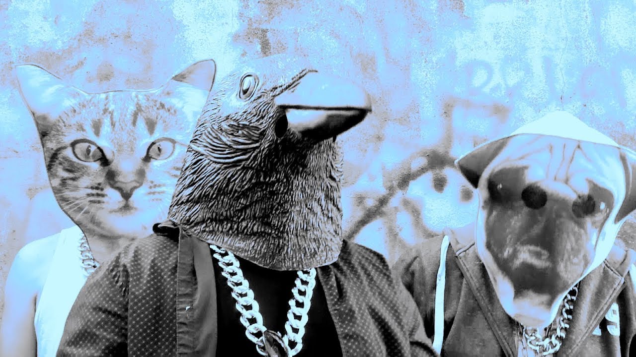 Crazy Crow (Official Video) by David King - YouTube