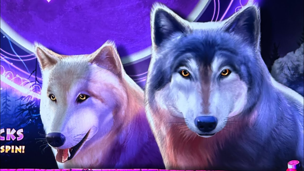 Tribute To A Most Powerful Slot Streamer! - YouTube