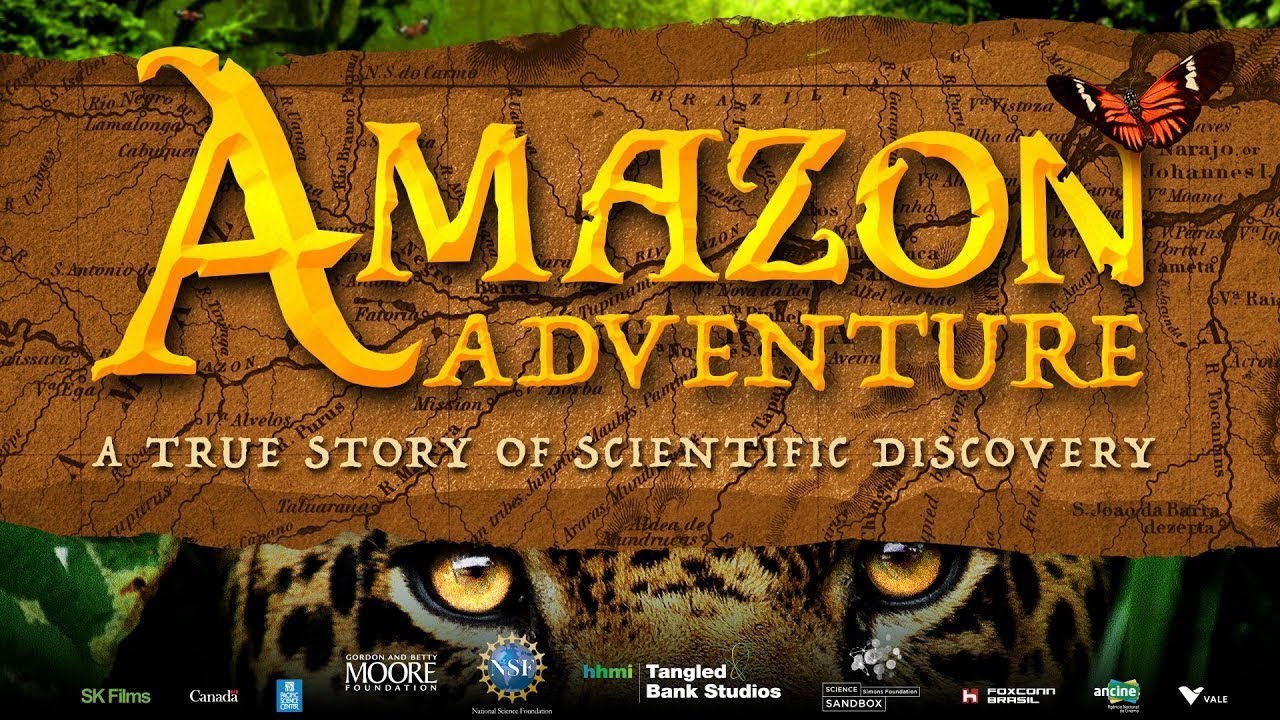 download amazon adventure game for free - YouTube