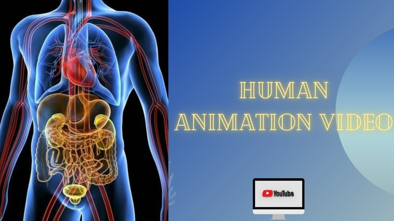 Animation Video | Ulcerative Colitis - YouTube