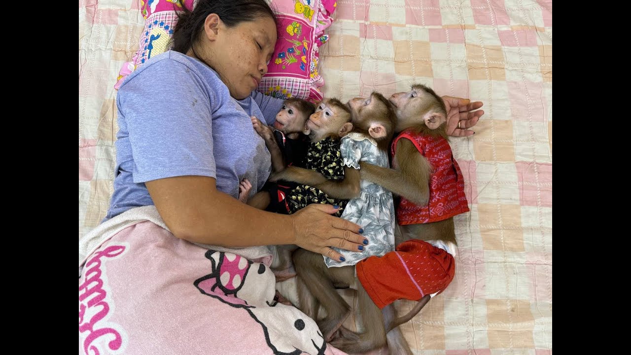 Mom Adore 4 Siblings To Sleep With Warm Hug Till Falling Deeply Sleep 5262