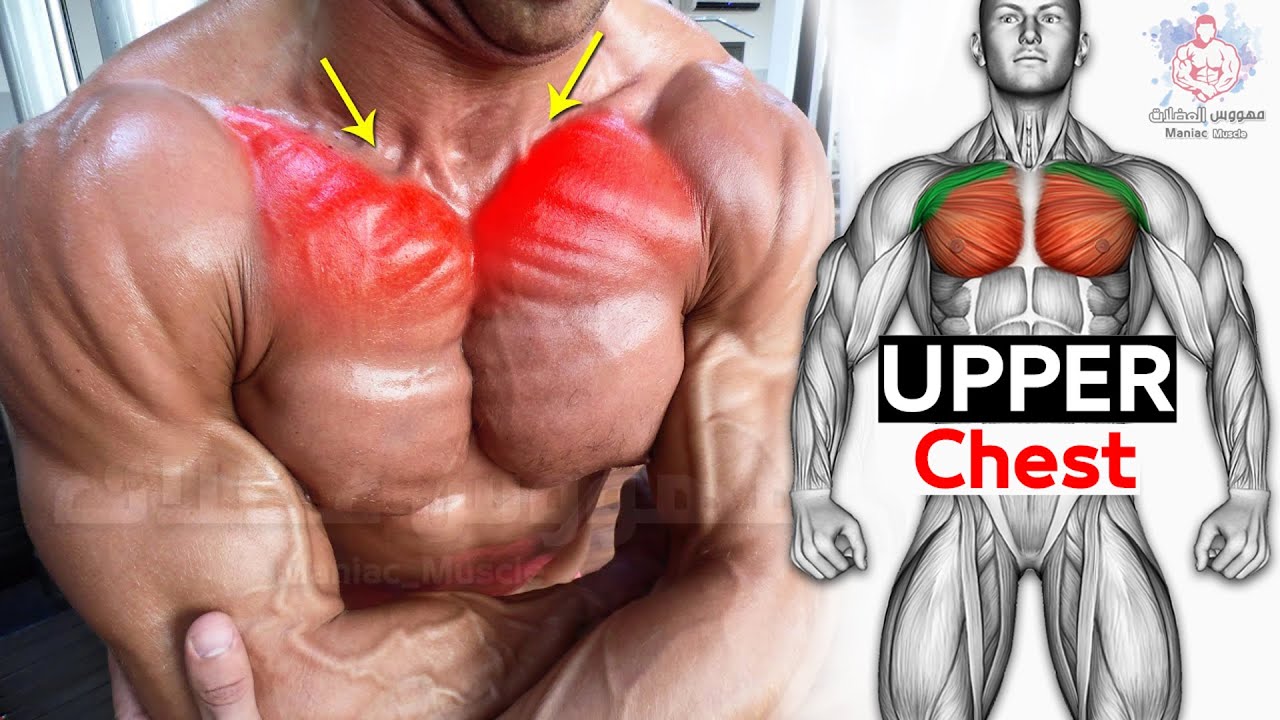 BEST 6 EXERCISES "UPPER CHEST" Workout 🔥 - YouTube