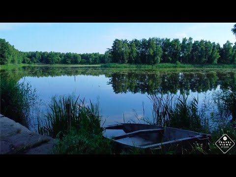 Stawy Milickie | Milicz Ponds, Poland 🇵🇱 | Goose - DRONE [4K] - YouTube
