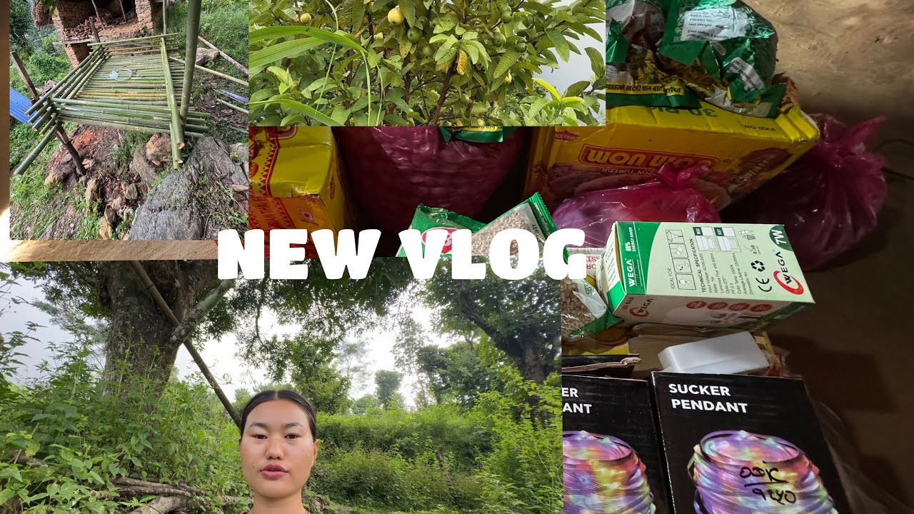 || NEW VLOG || || DASHAIN SHOPPING 🛍️ ️ SANGAI NEW SUNGUR 🐷KO KHOR ...