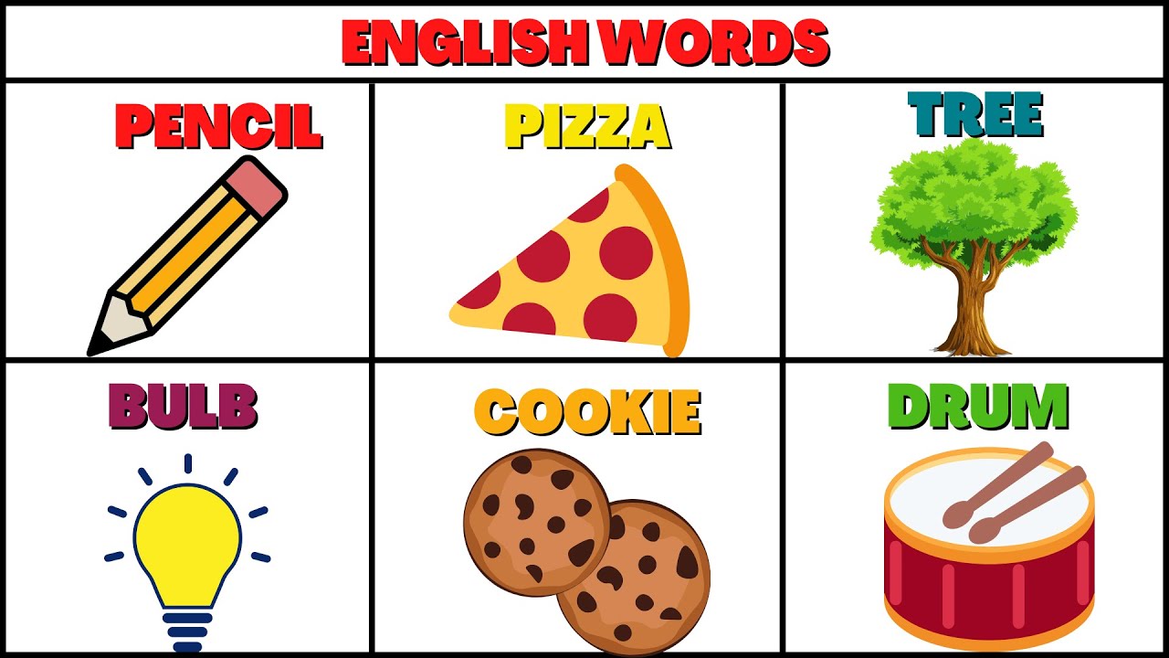 Learn Basic English Vocabulary | Picture Words In English | KIDS WONDER ...