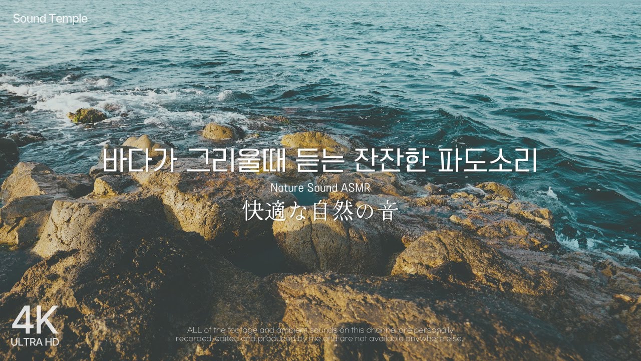 바다가 그리울때 듣는 잔잔한 파도소리 갯바위 파도소리 휴식 불면증 극복 집중 이 필요할때듣는 백색소음 자연의소리 힐링 수면유도 8시간 Asmr