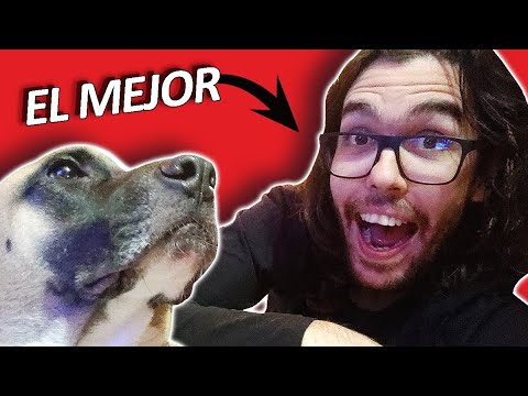 ZORMAN FUE EL MEJOR YOUTUBER DEL MUNDO - YouTube