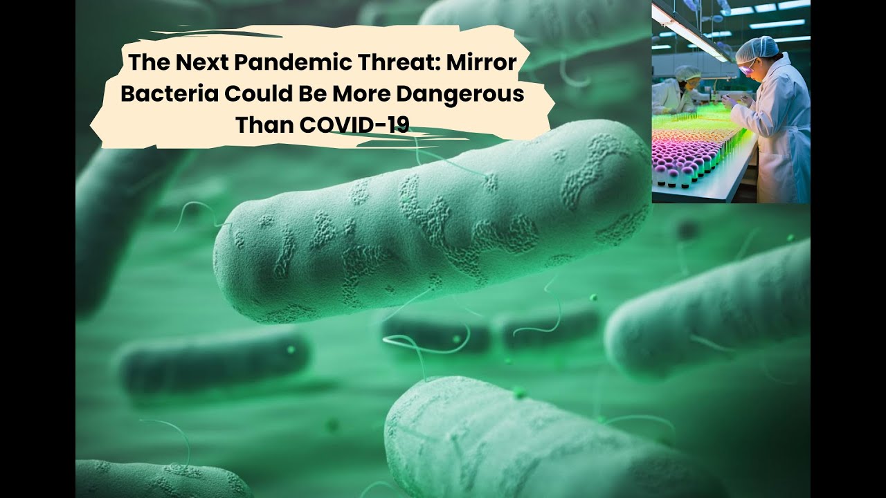 Lab-Created 'Mirror Bacteria' Pose a Threat to Life, Experts Warn - YouTube