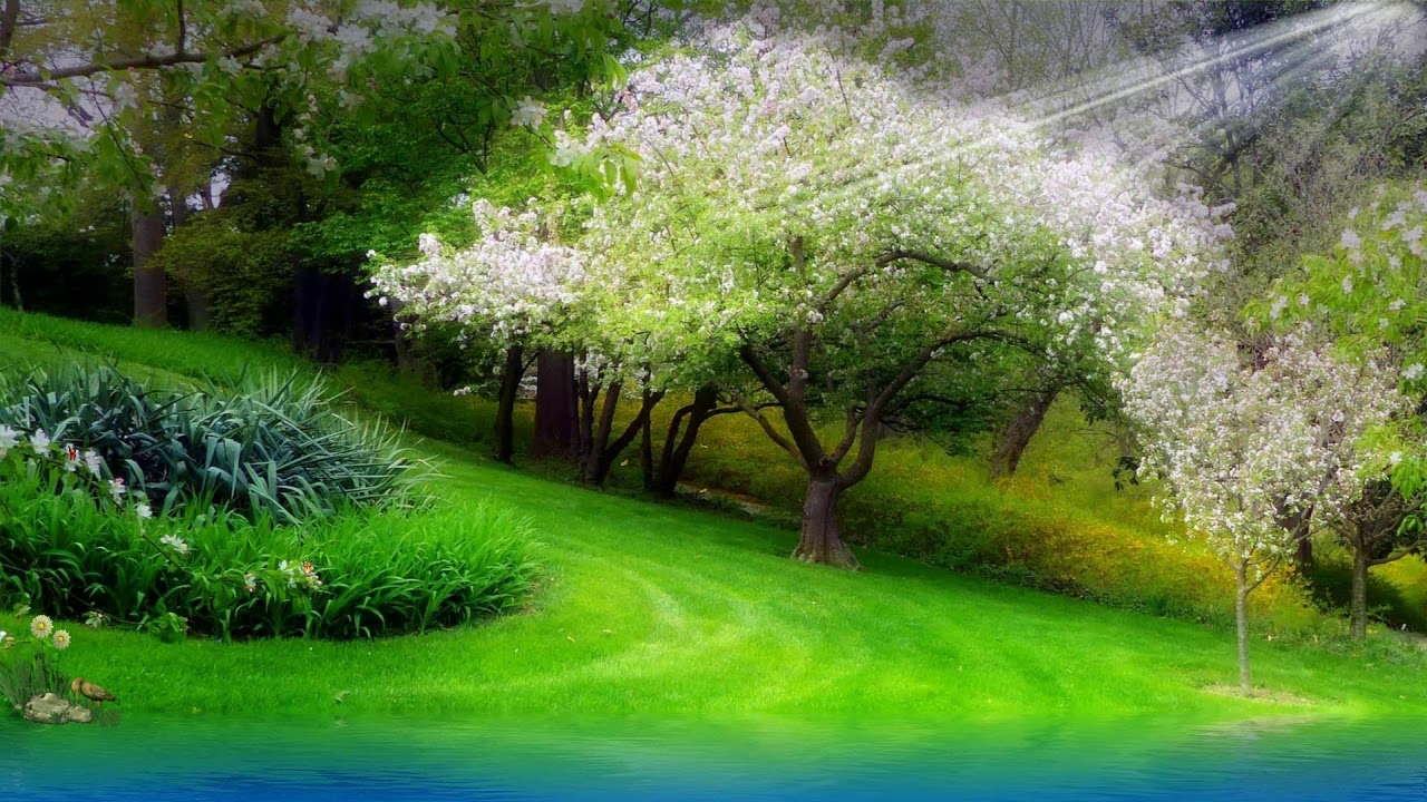 Beautiful Spring Pond - YouTube