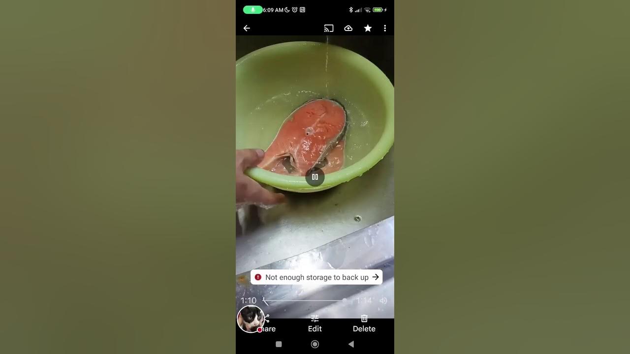 Tita mae vlog is live!salmon for sinigang - YouTube