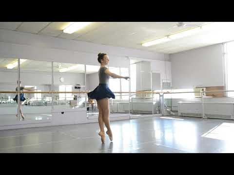 D012-1 Dark Gray Short Sleeve Leotard 4365B Navy Shiny Nylon/Lycra Pull-on Skirts