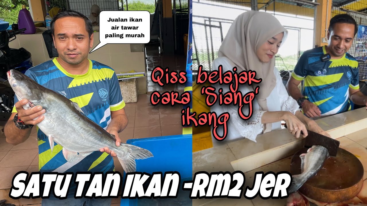 Dua teknik siang ikan patin paling mudah - YouTube