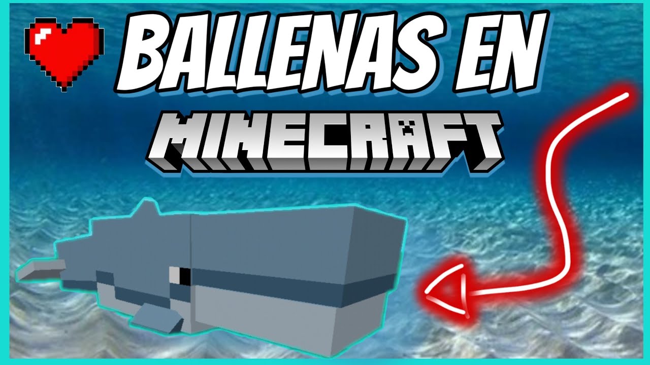 ¿Como HACER un habitat para BALLENA en MINECRAFT? (zoo con mods #4 ...