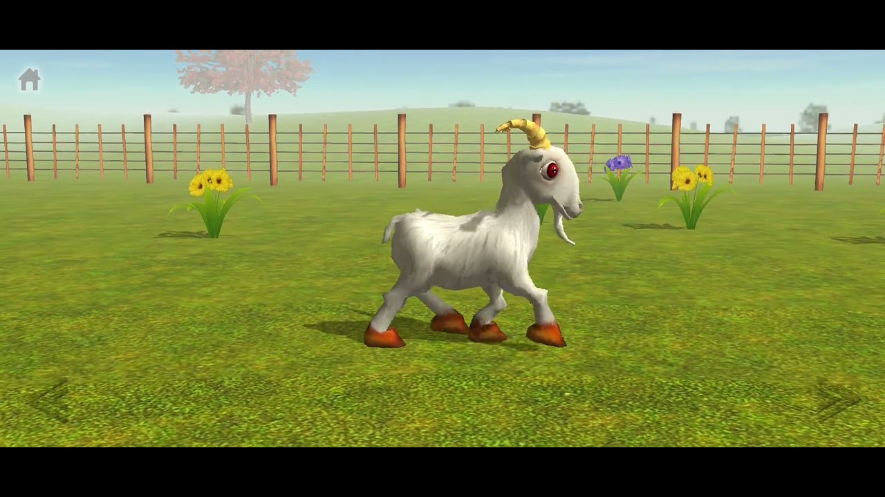 pio pio game video gem babider jony valo video - YouTube