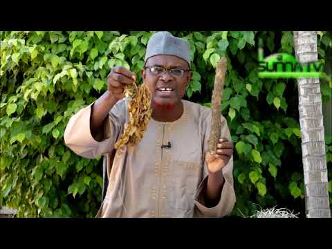 074 MAGANI AGONAR YARO ||DR. MUH'D WALI GOMBE||