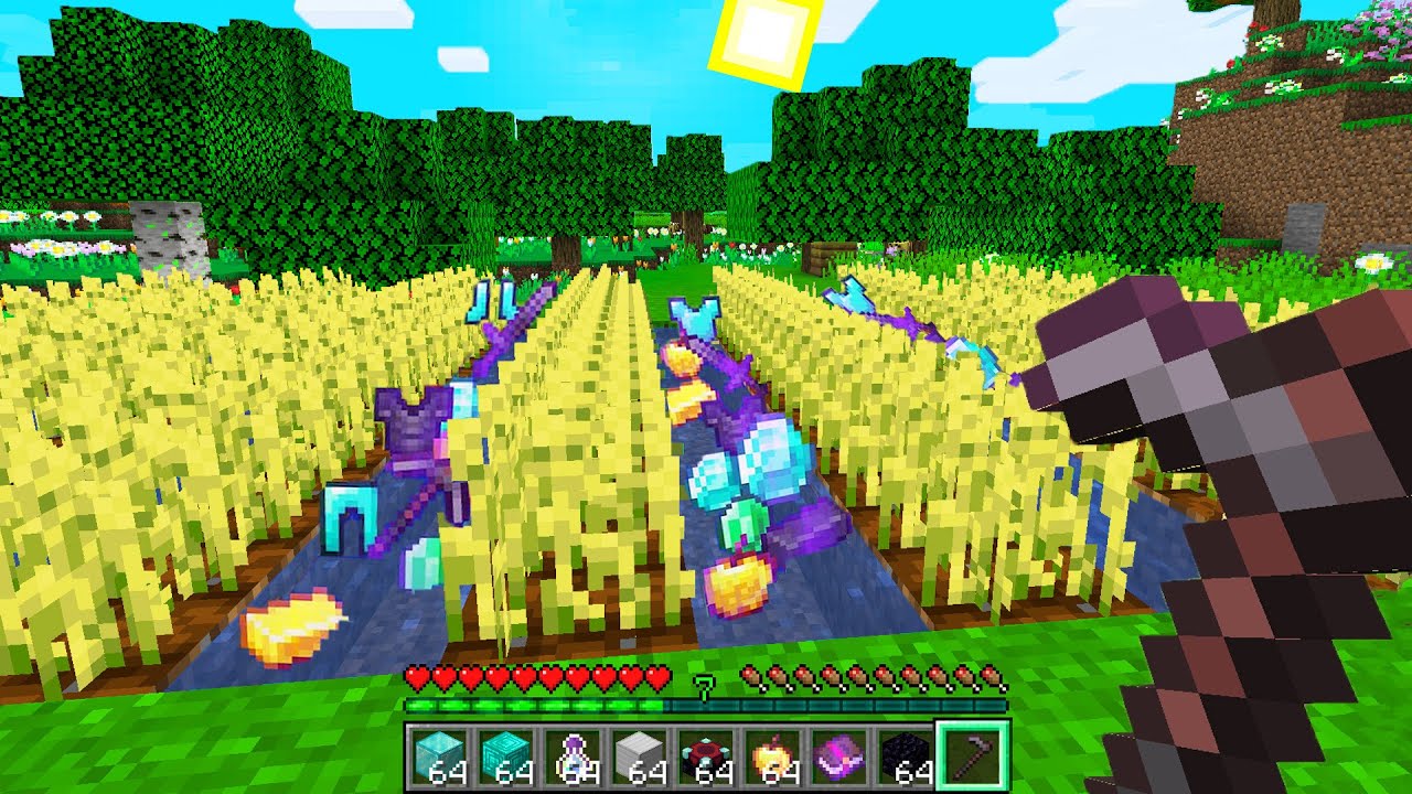 Les CHAMPS sont CHEATÉS dans Minecraft !! | Map Minecraft - YouTube