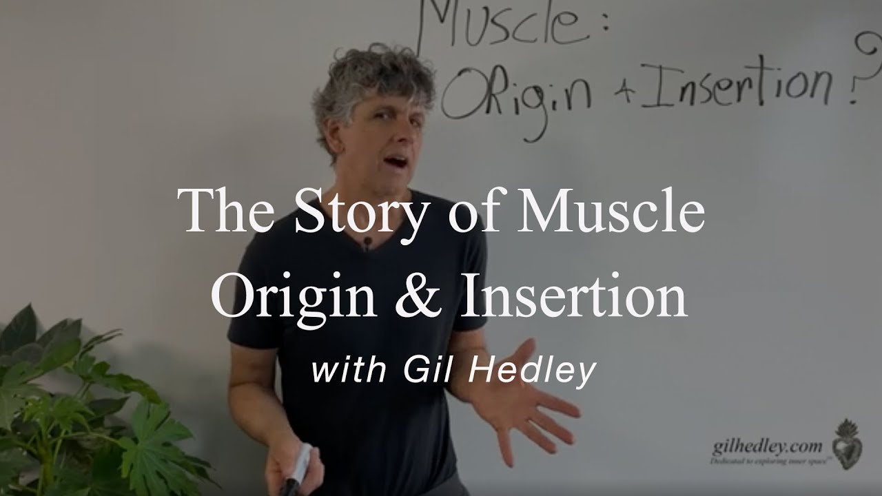 The Story of Muscle Origin & Insertion (Part 1): Learn Integral Anatomy ...