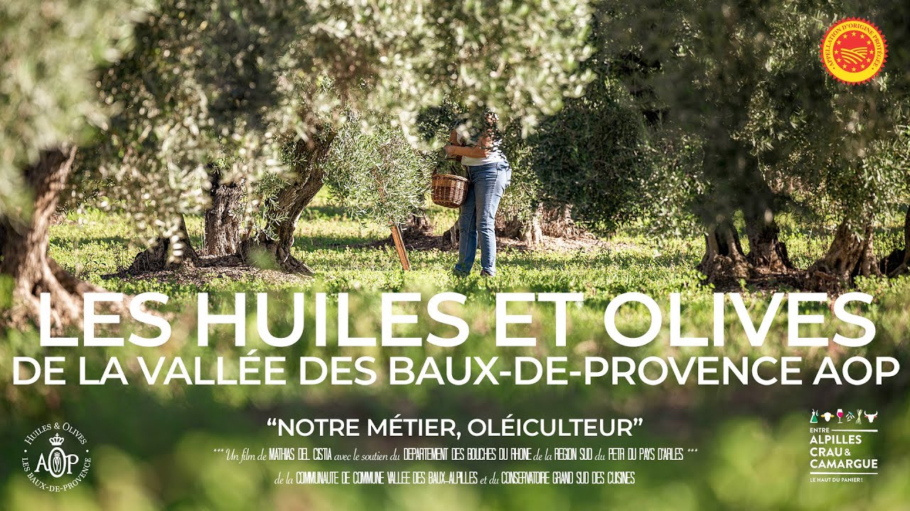 Notre métier, Oléiculteur - AOP Huiles et Olives de la vallée des Baux ...